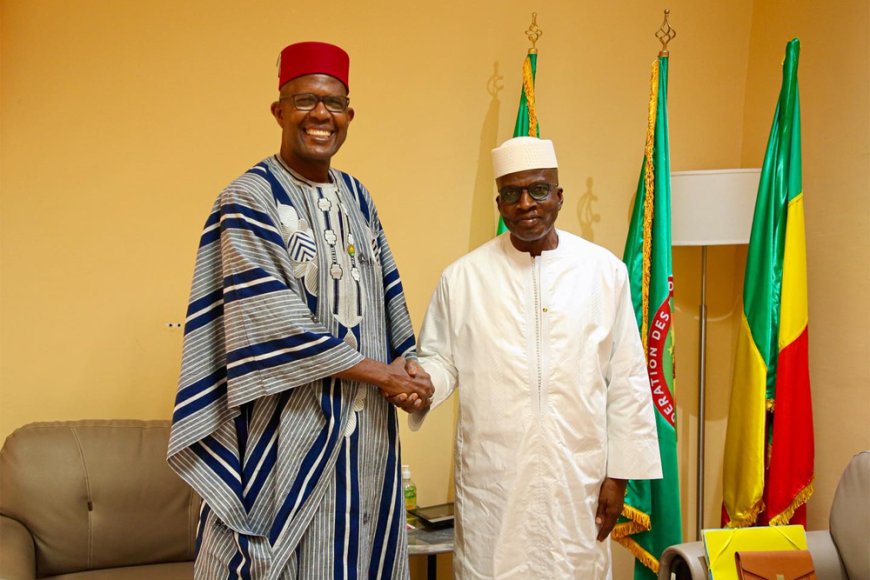 Diplomatie : Le nouvel ambassadeur du Mali en Egypte, Samba A. Baby chez le ministre Daffé ...
