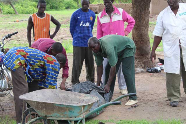 Visite du ministère de l’élevage et de la pêche dans le cercle de Tominian : La peste porcine ...