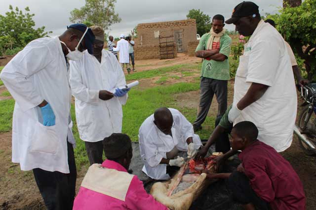 maliweb.net - Visite du ministère de l’élevage et de la pêche dans le cercle de Tominian : La ...